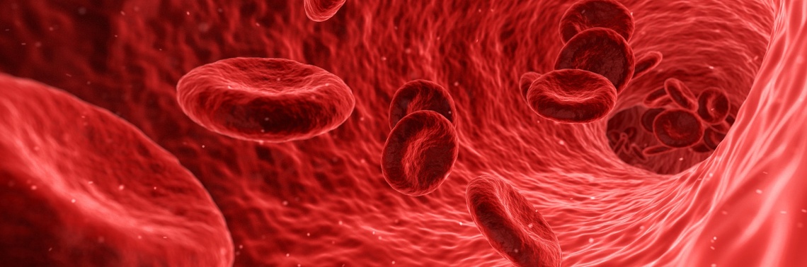 Barcodes & Blood Family Tree | Dr. Fredda Branyon